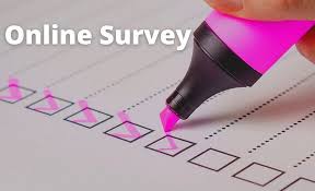 Best survey sites to earn money